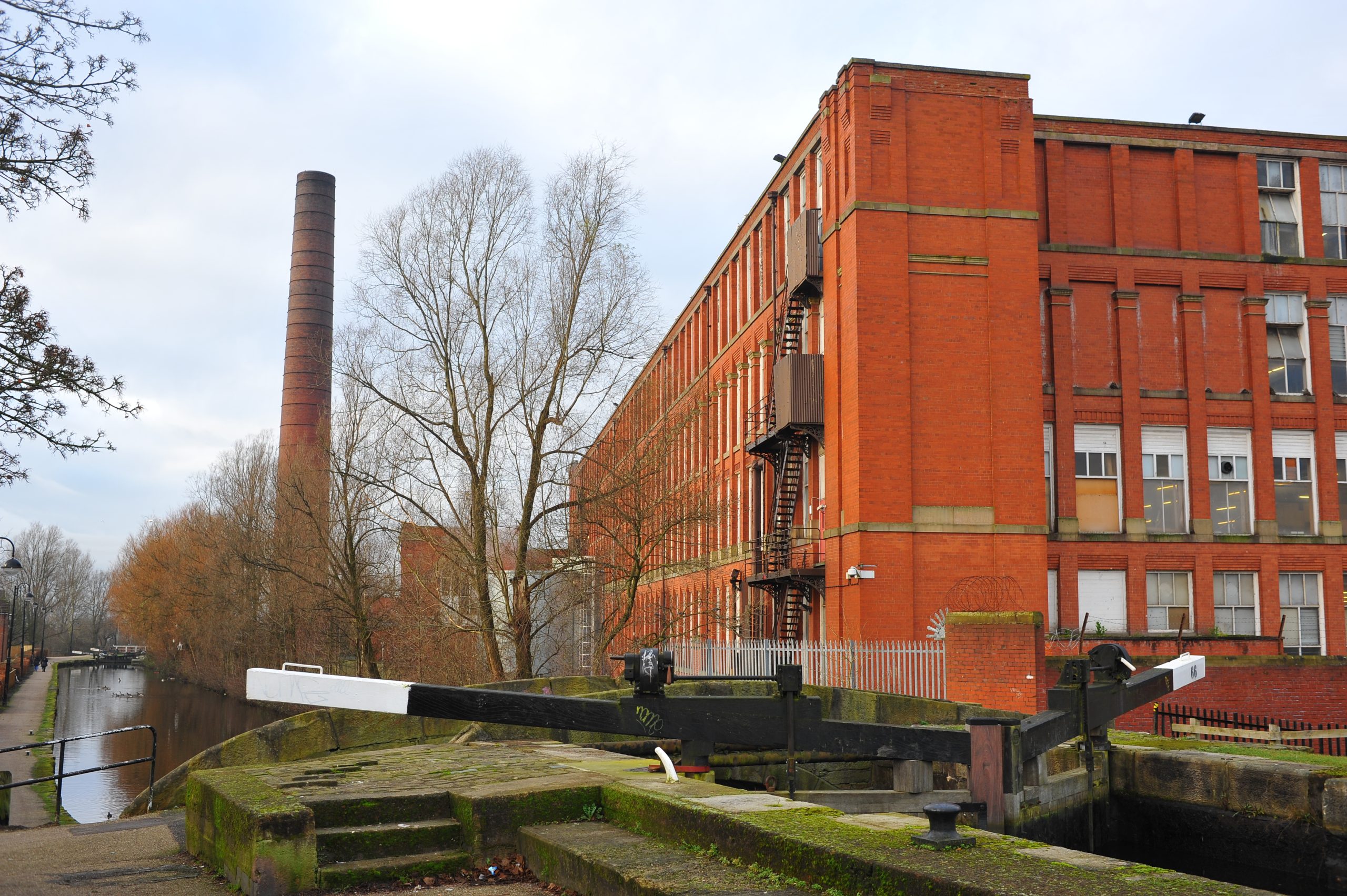 Oldham Mills Study - ELG